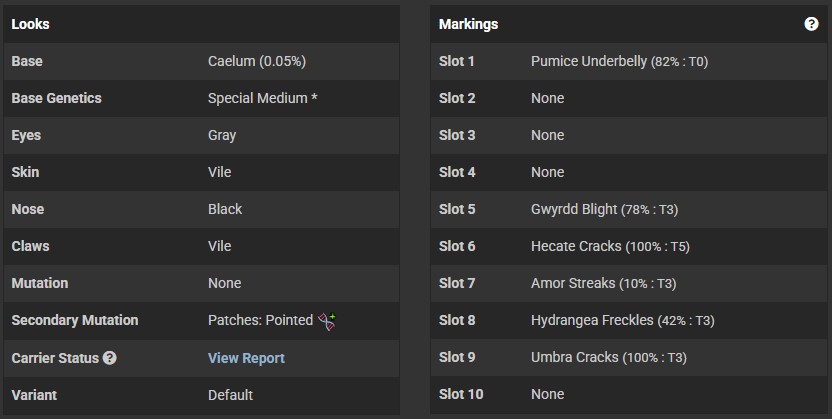 🏹𓌜 So'lek 𓌜 - [Caelum T* / Mel Carrier / Pointed / 6M / G4 / NIB]🏹 |:| Wolvden